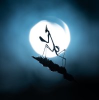 Clément Boyer - Grand Pic Saint-Loup tourist office